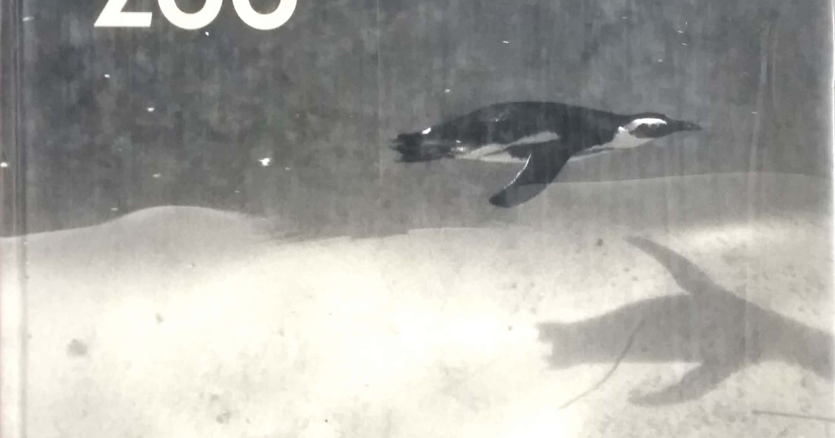 zoo | Three Shadows