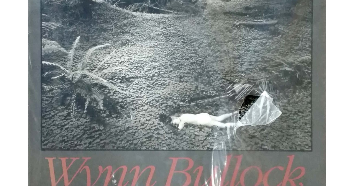 Wynn Bullock: The Enchanted Landscape: Photographs 1940-1975 | Three ...